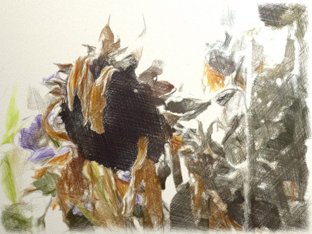 Altering images... - Art Felt